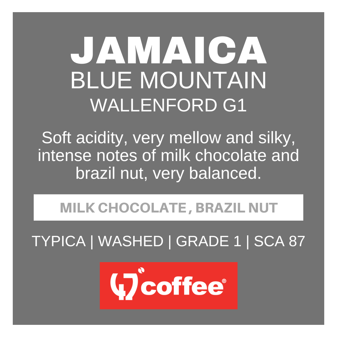 Exclusive Blue Mountain Coffee for Christmas - Pre-Order Now | 47 ...